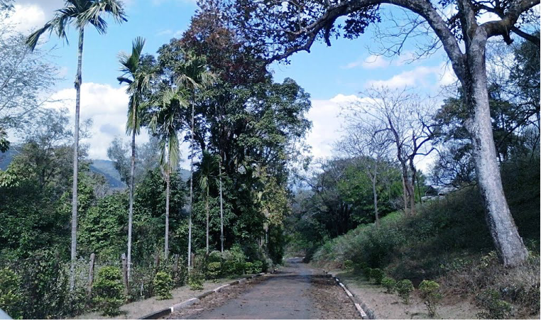 IDPs are unable to return to their homes as fighting continues in Namtu ...